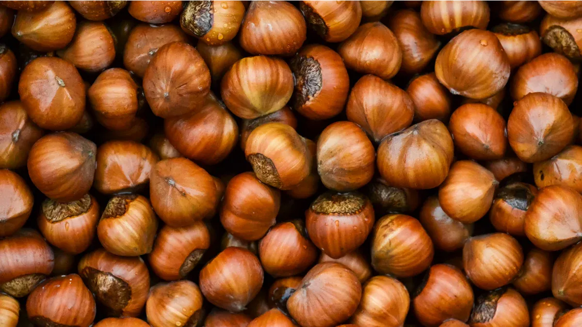 What Are Water Chestnuts: Fiber, Uses, And Nutrition Facts